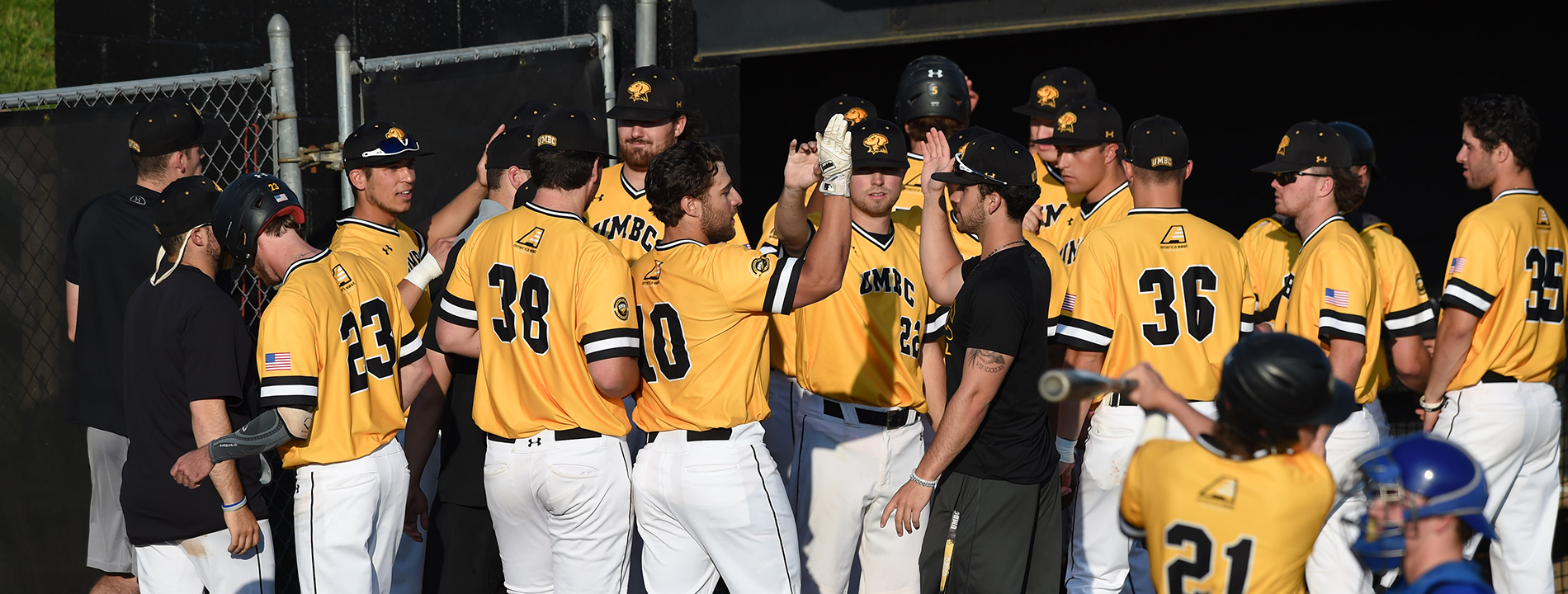 UMBC Retriever Baseball Camps | at UMBC | Baltimore, MD